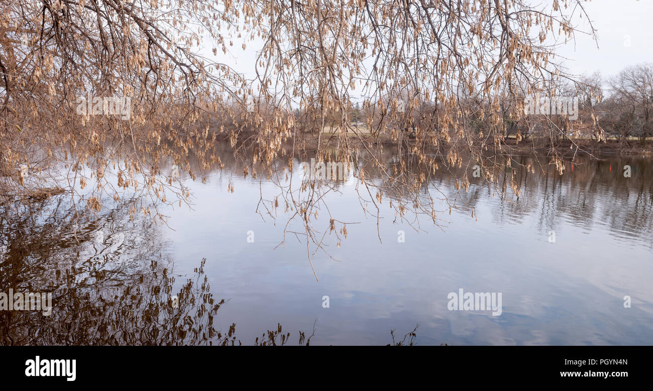 Rideau river in autumn, Ottawa, Canada Stock Photo - Alamy
