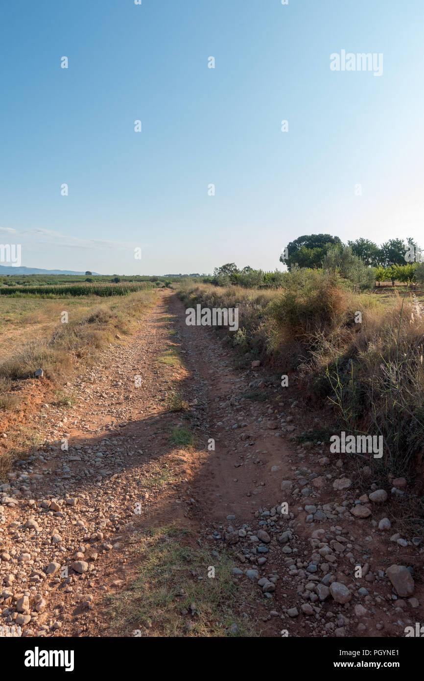 The road to Santiago and the via augusta in Castellon, Spain Stock ...