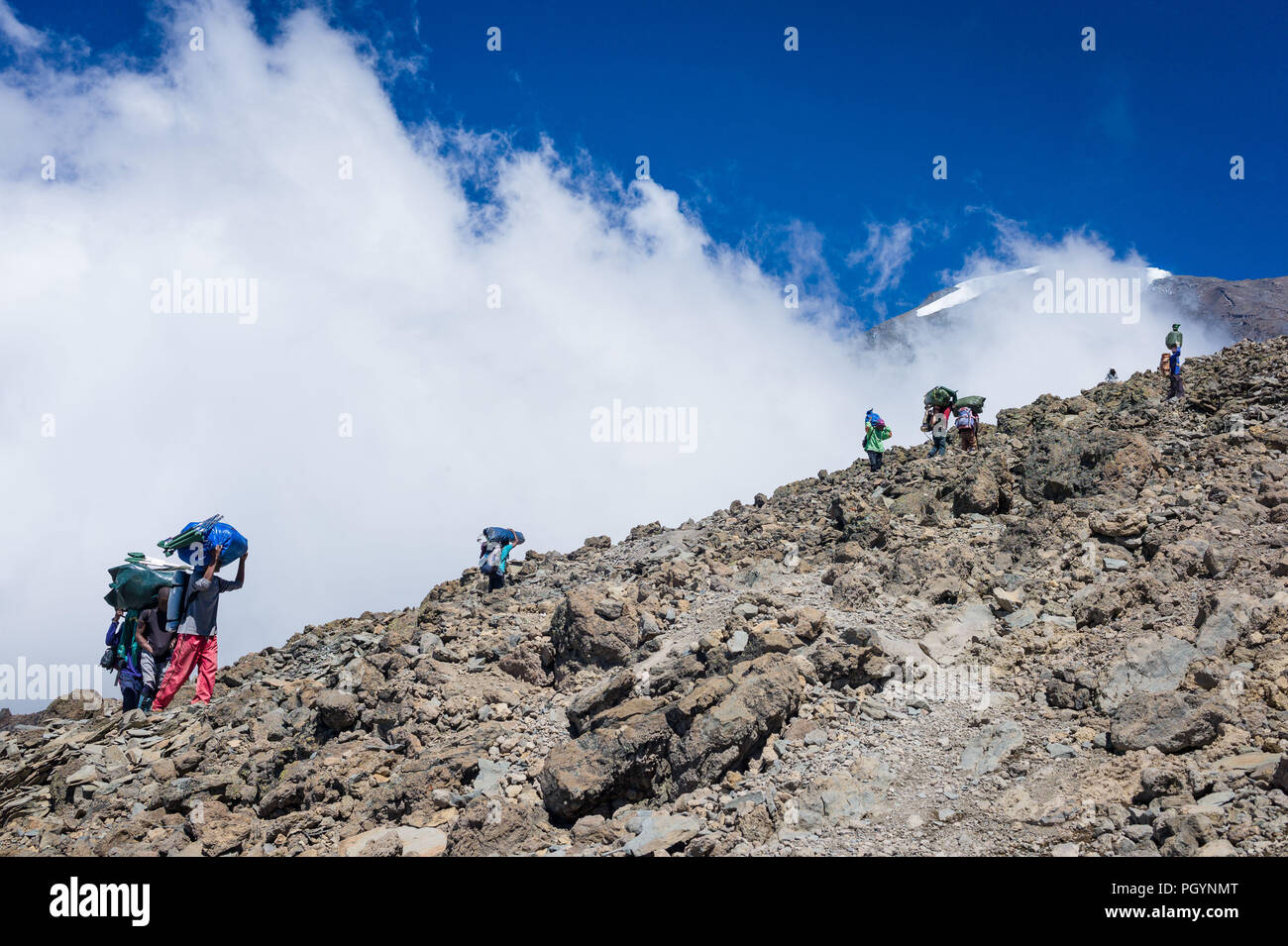 Porters carry loads to Barafu Camp on the Machame Route with Kibo peak ...