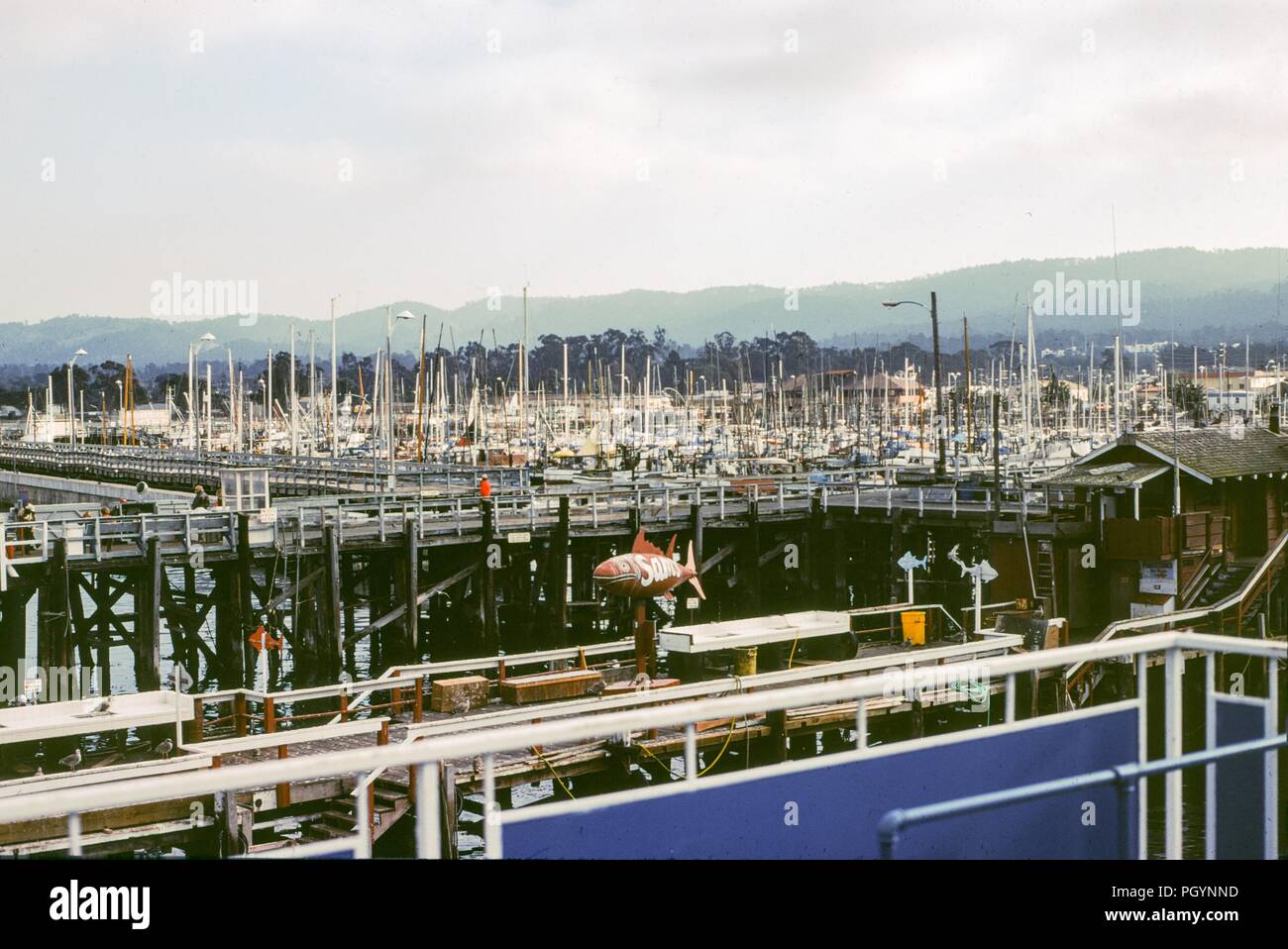 Sam's tiburon california hi-res stock photography and images - Alamy