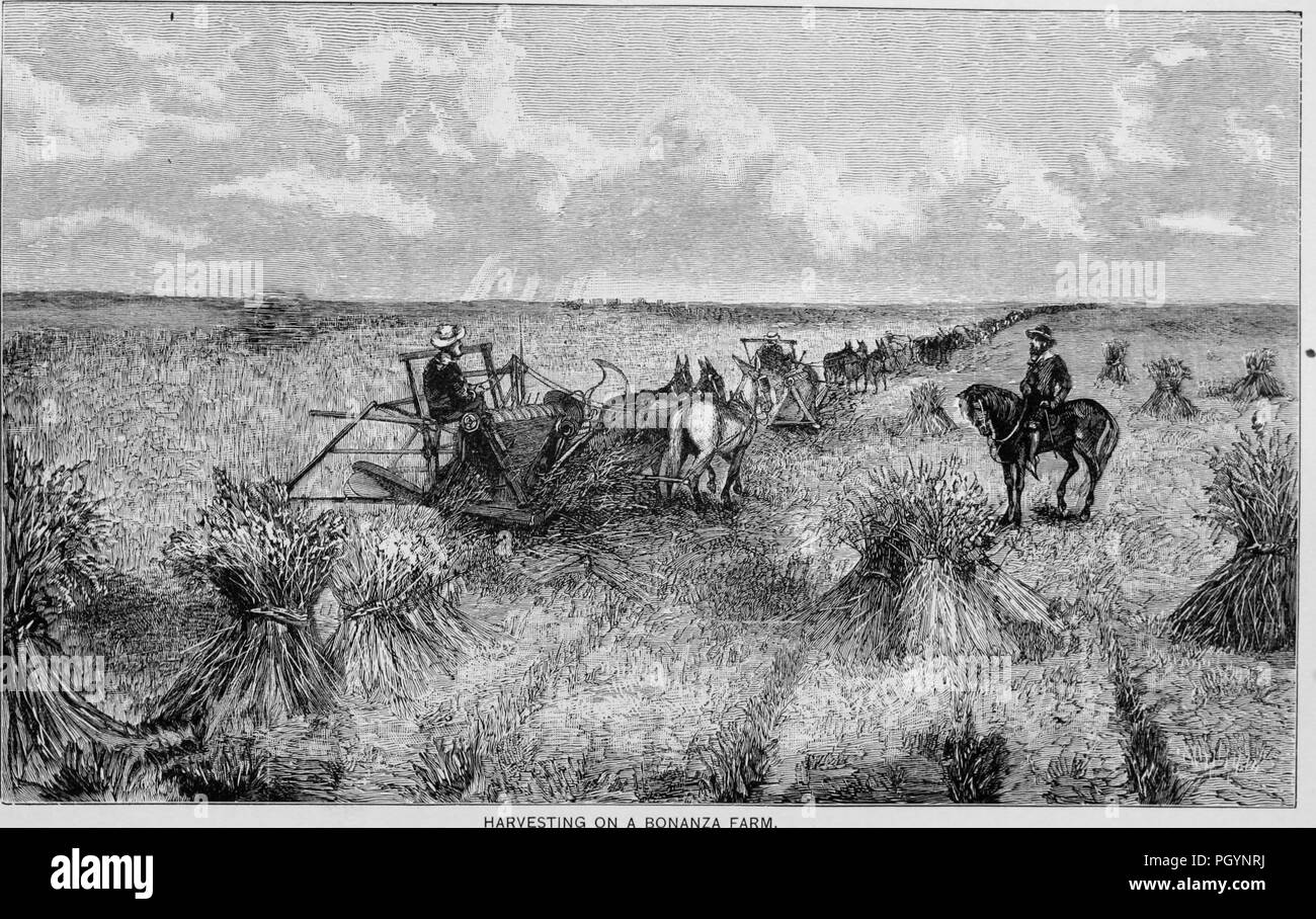 Horse print 1800s hi-res stock photography and images - Alamy