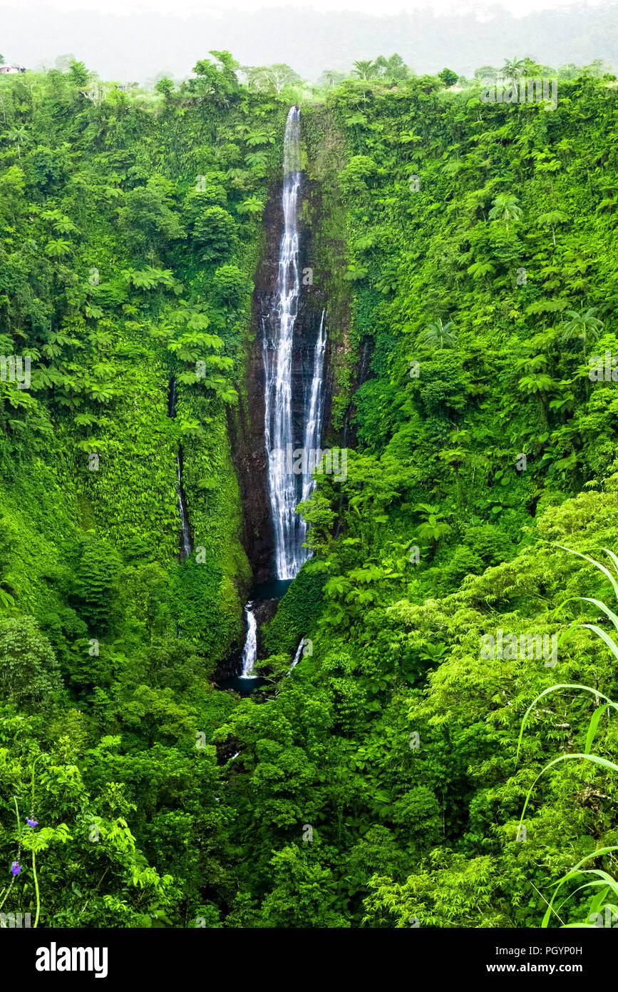 Papapapaitai waterfall hi-res stock photography and images - Alamy