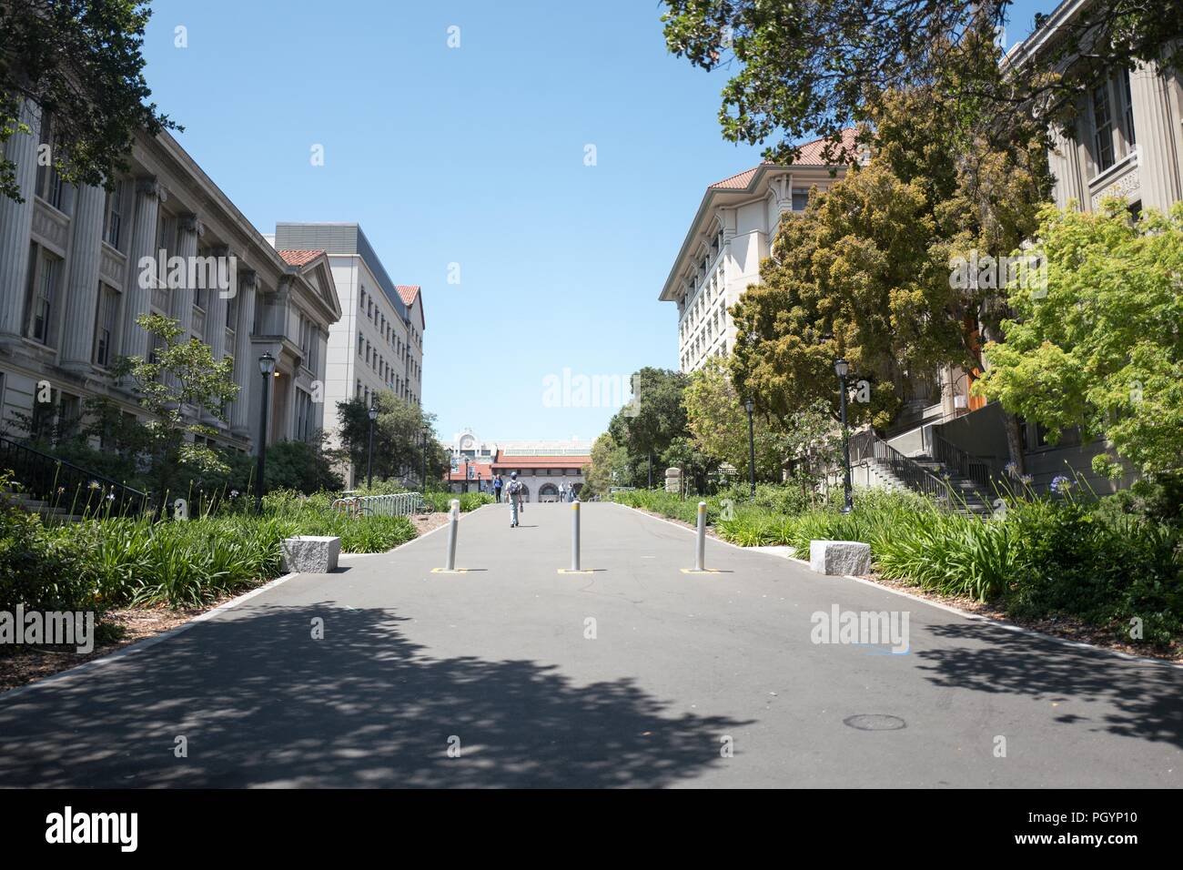 Tree shaded students hi-res stock photography and images - Alamy