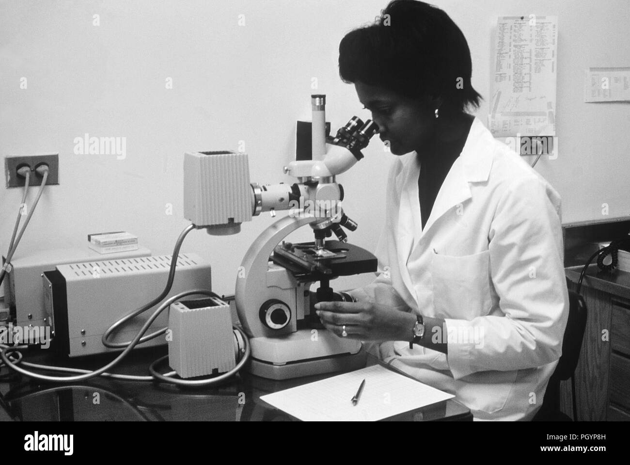 Microbiologist analyzing sera by indirect antibody staining for ...