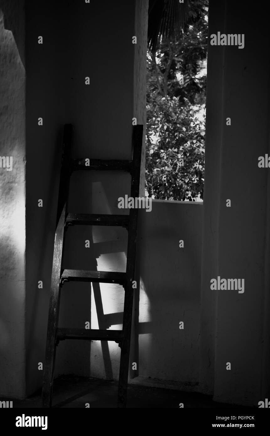 Summer garden life Black and White Stock Photos & Images - Alamy