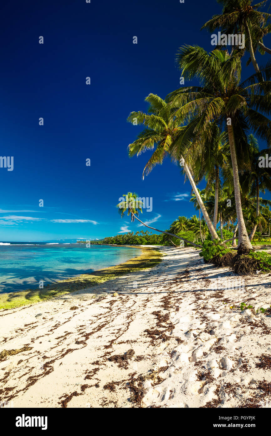 Beach with coral reef on south side of Upolu framed by palm leaves ...