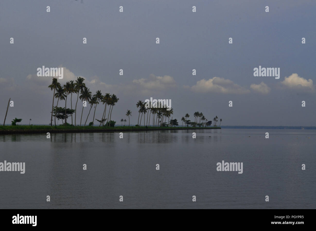 Backwater in kerala Stock Photo - Alamy