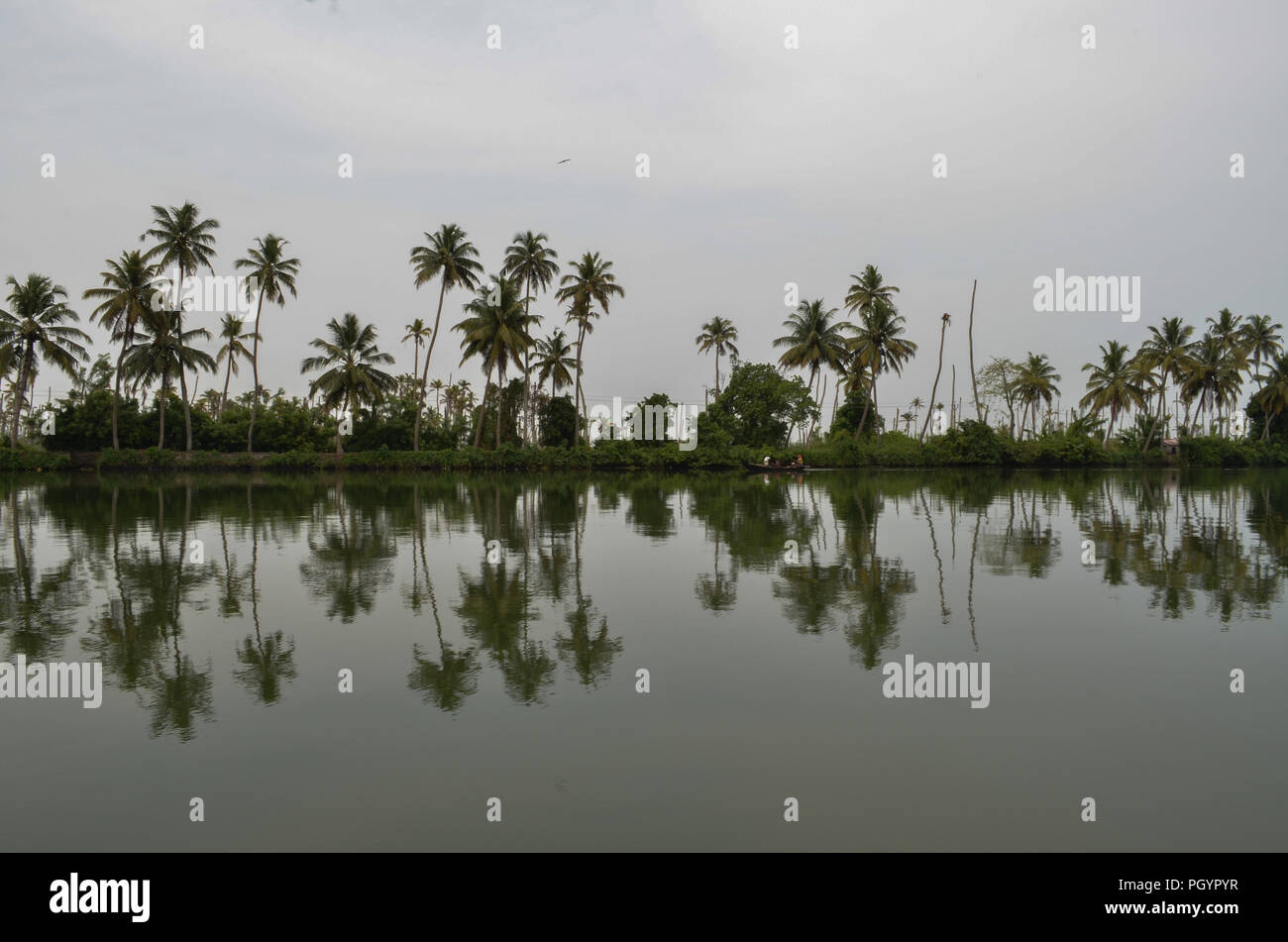 Backwater in kerala Stock Photo - Alamy