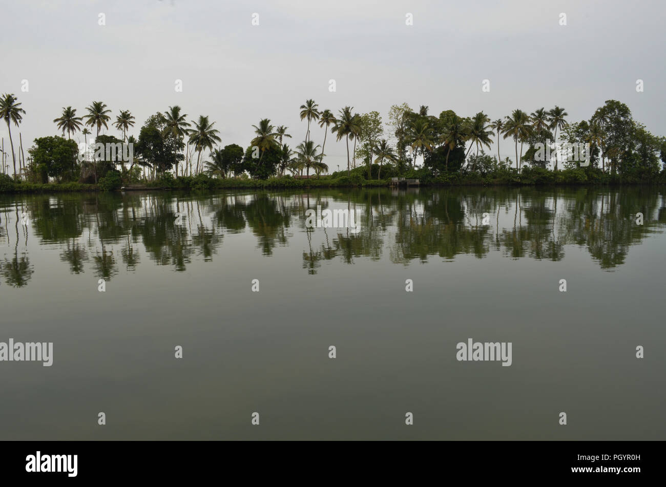 Kerala coconut images hi-res stock photography and images - Alamy