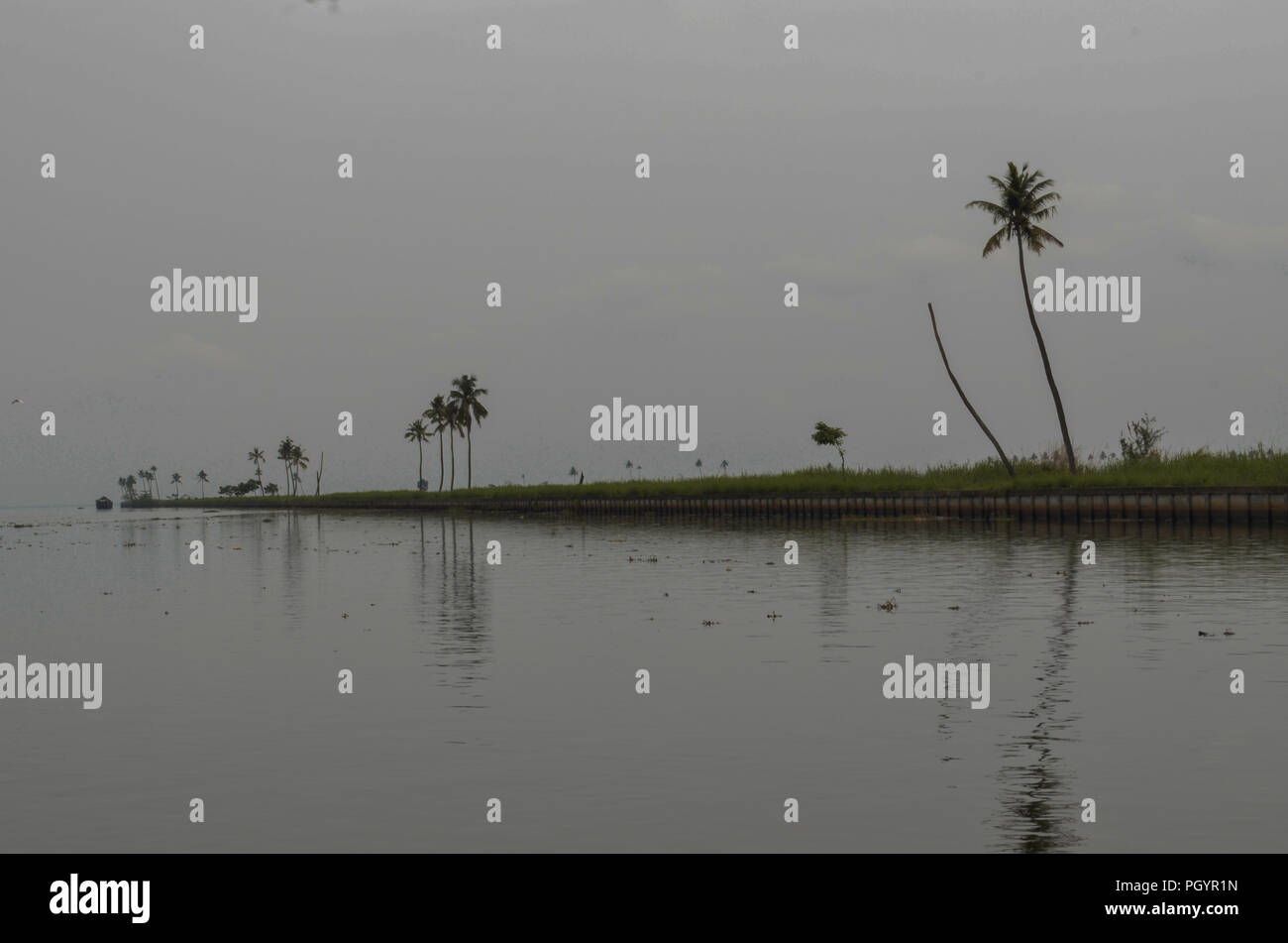 Backwater in kerala Stock Photo - Alamy