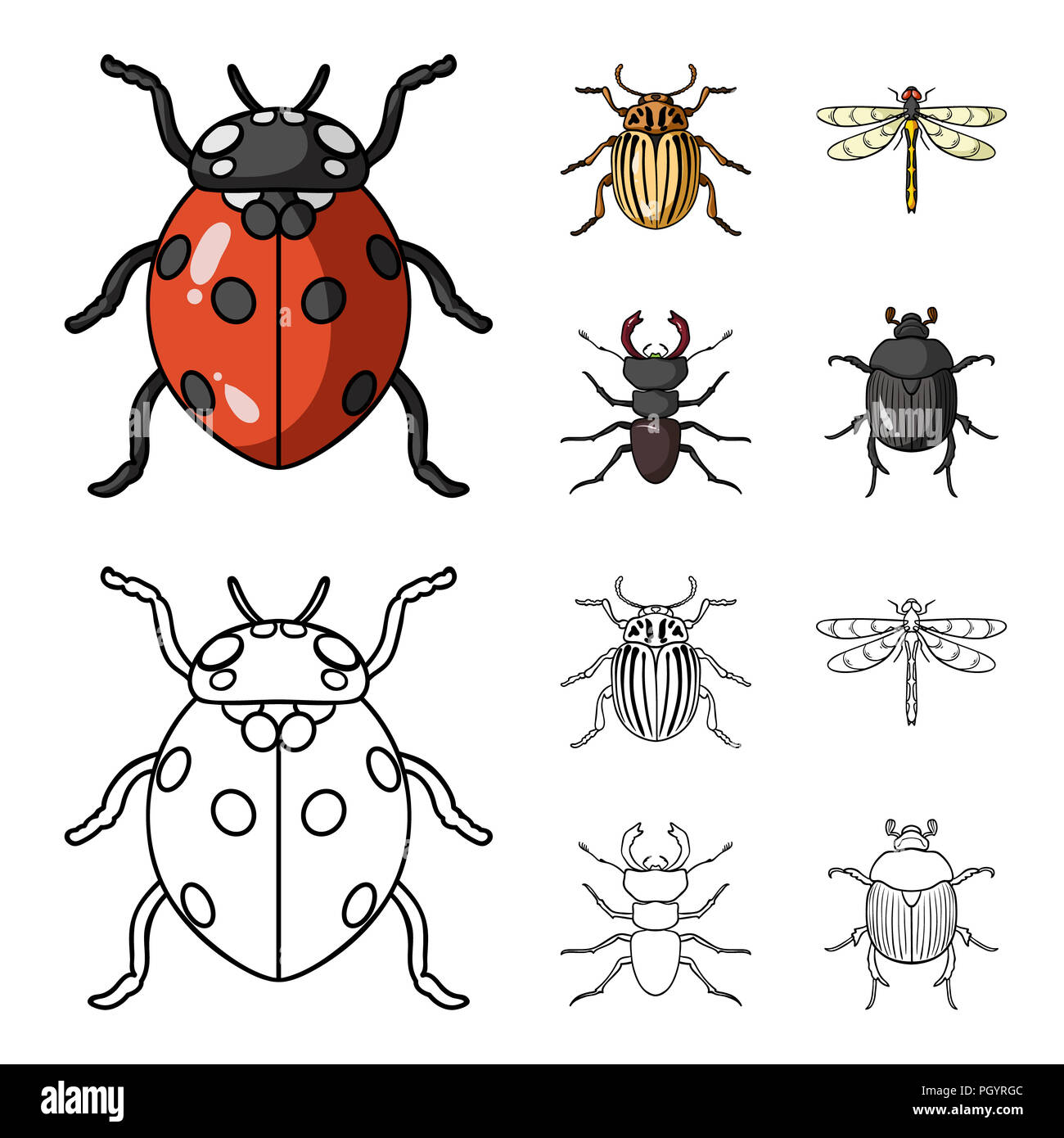 Insect, bug, beetle, paw .Insects set collection icons in cartoon ...