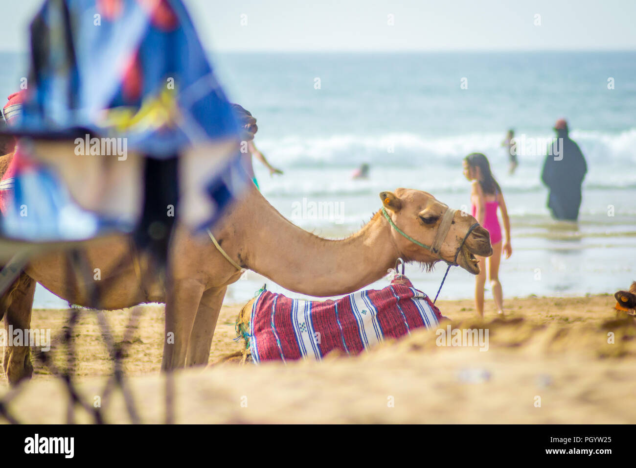 Tangier island harbor hi-res stock photography and images - Alamy