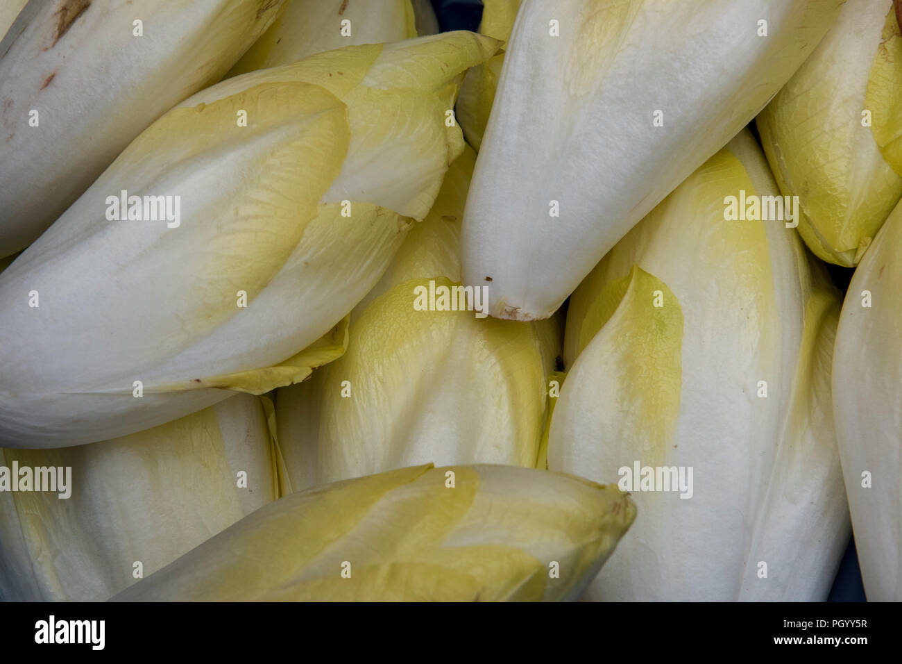 fresh chicory for sale on a market stall at borough market in london ...