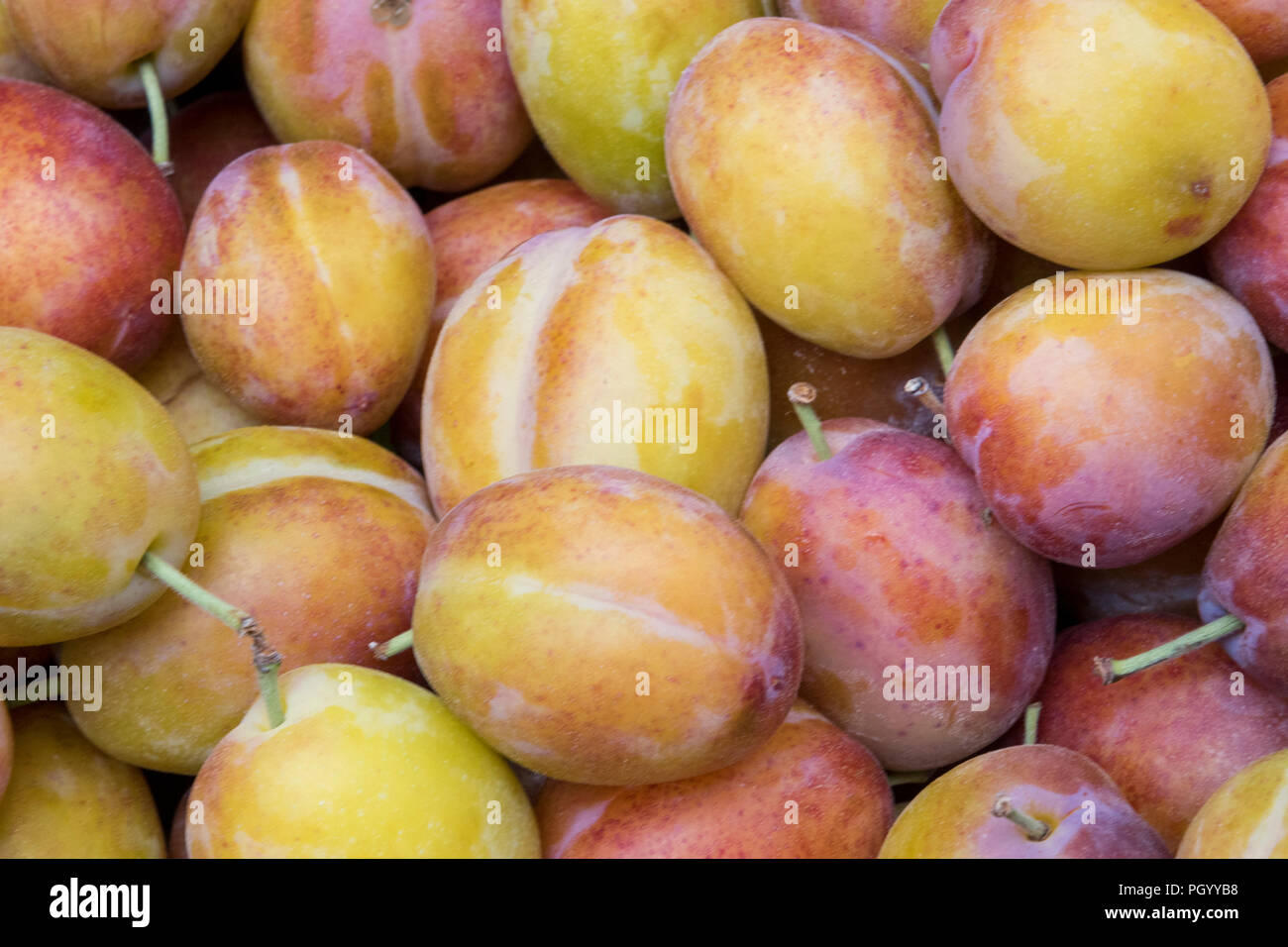 freshly picked golden plums on a market stall Stock Photo - Alamy