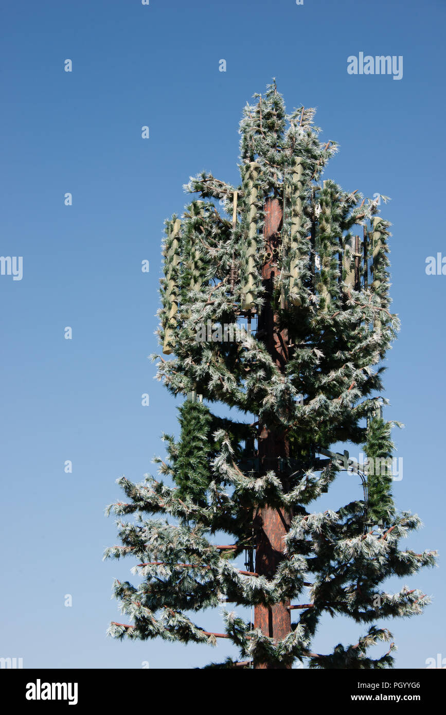 Cell tower tree hi-res stock photography and images - Alamy