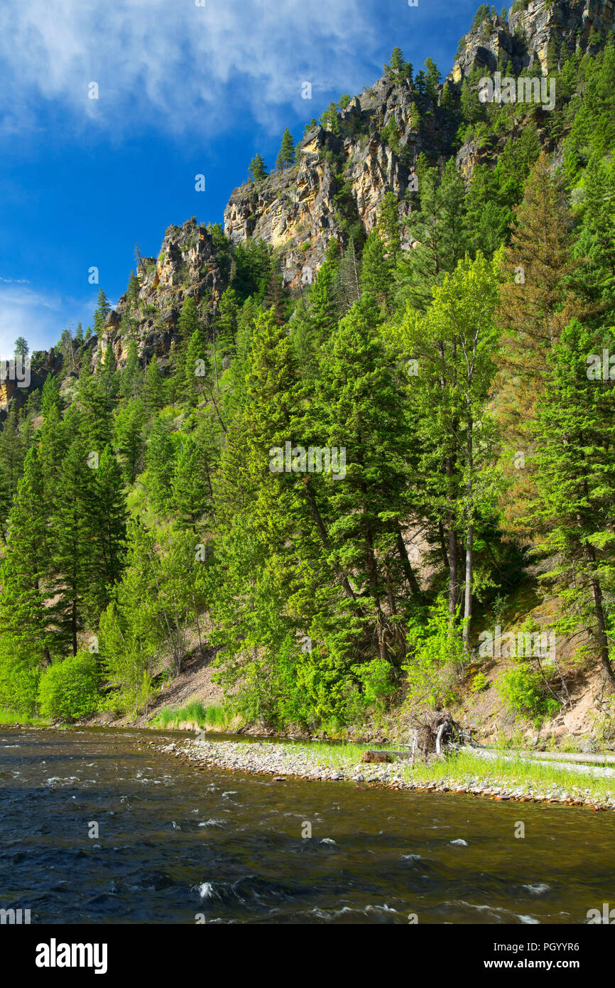 Rock Creek, Lolo National Forest, Montana Stock Photo - Alamy