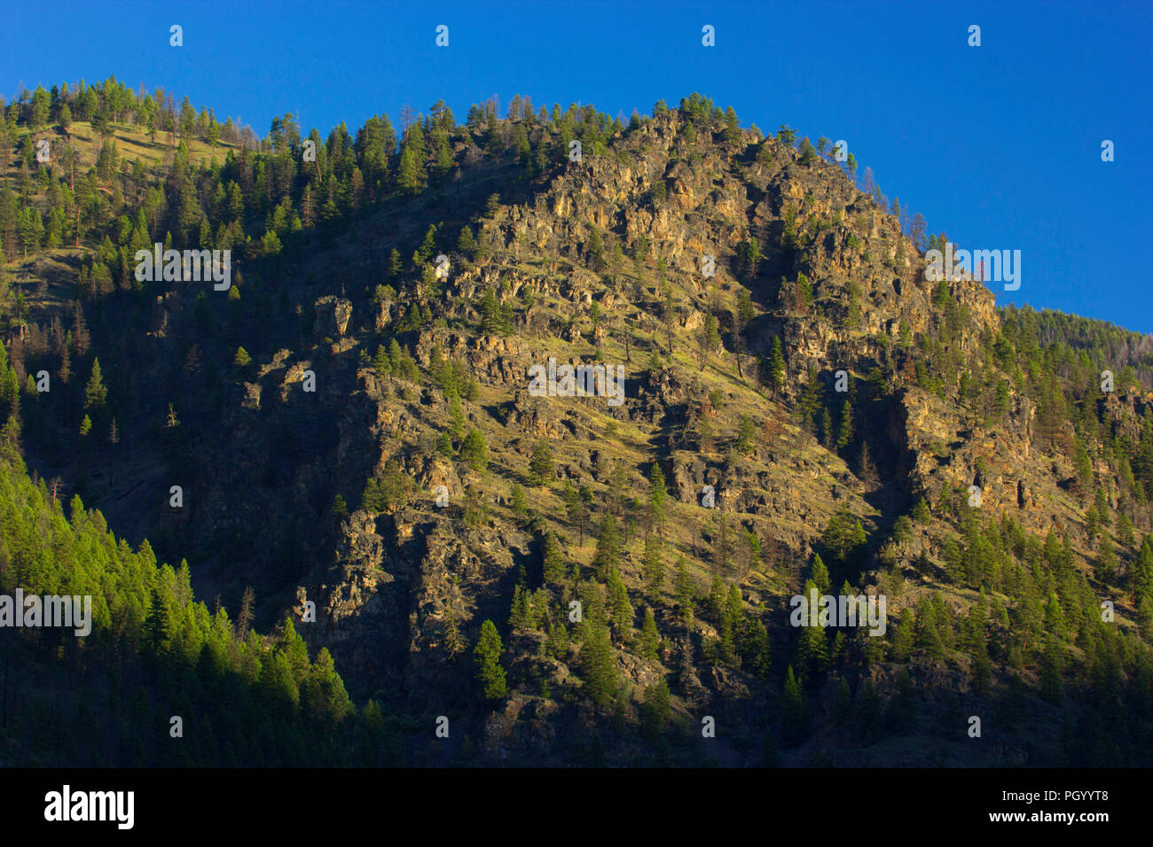 Rock Creek canyon slope, Lolo National Forest, Montana Stock Photo - Alamy