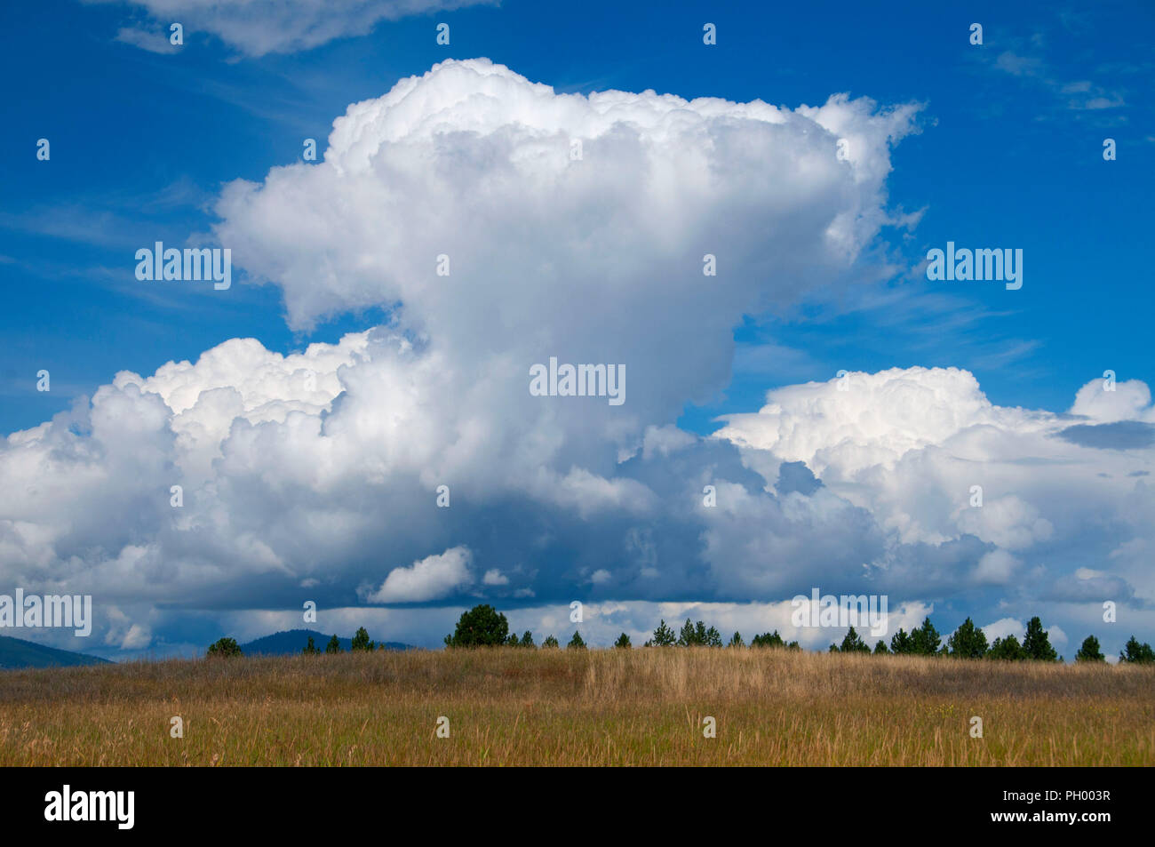 Thunderhead hi-res stock photography and images - Alamy