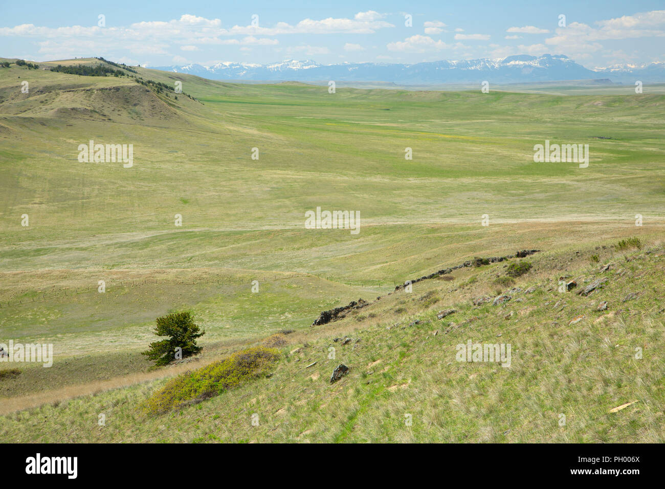 Butte montana trail hi-res stock photography and images - Alamy