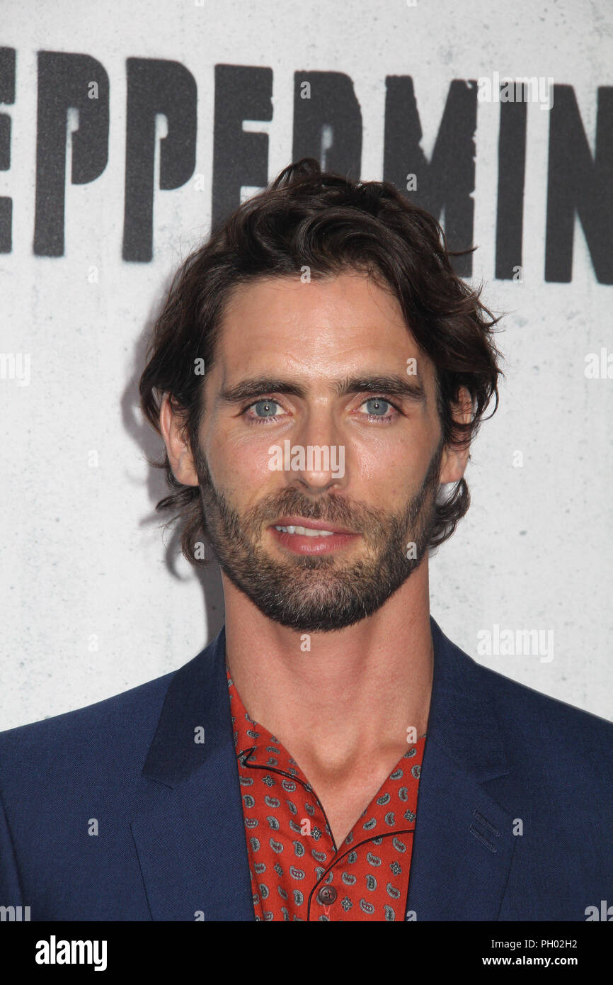 Los Angeles, USA. 28th Aug 2018. Tyson Ritter 08/28/2018 The World ...