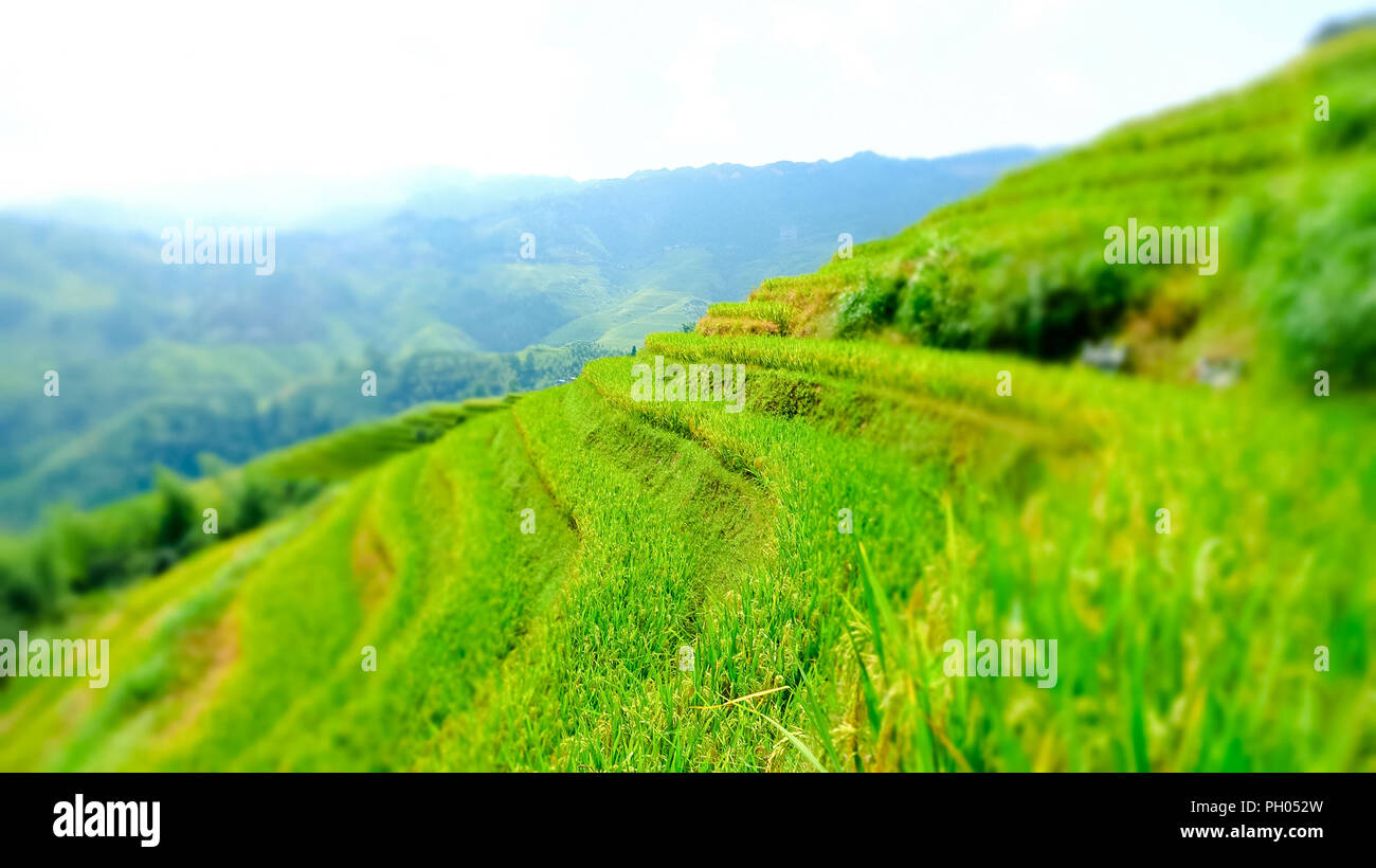 Situated on the west bank of the li river hi-res stock photography and ...
