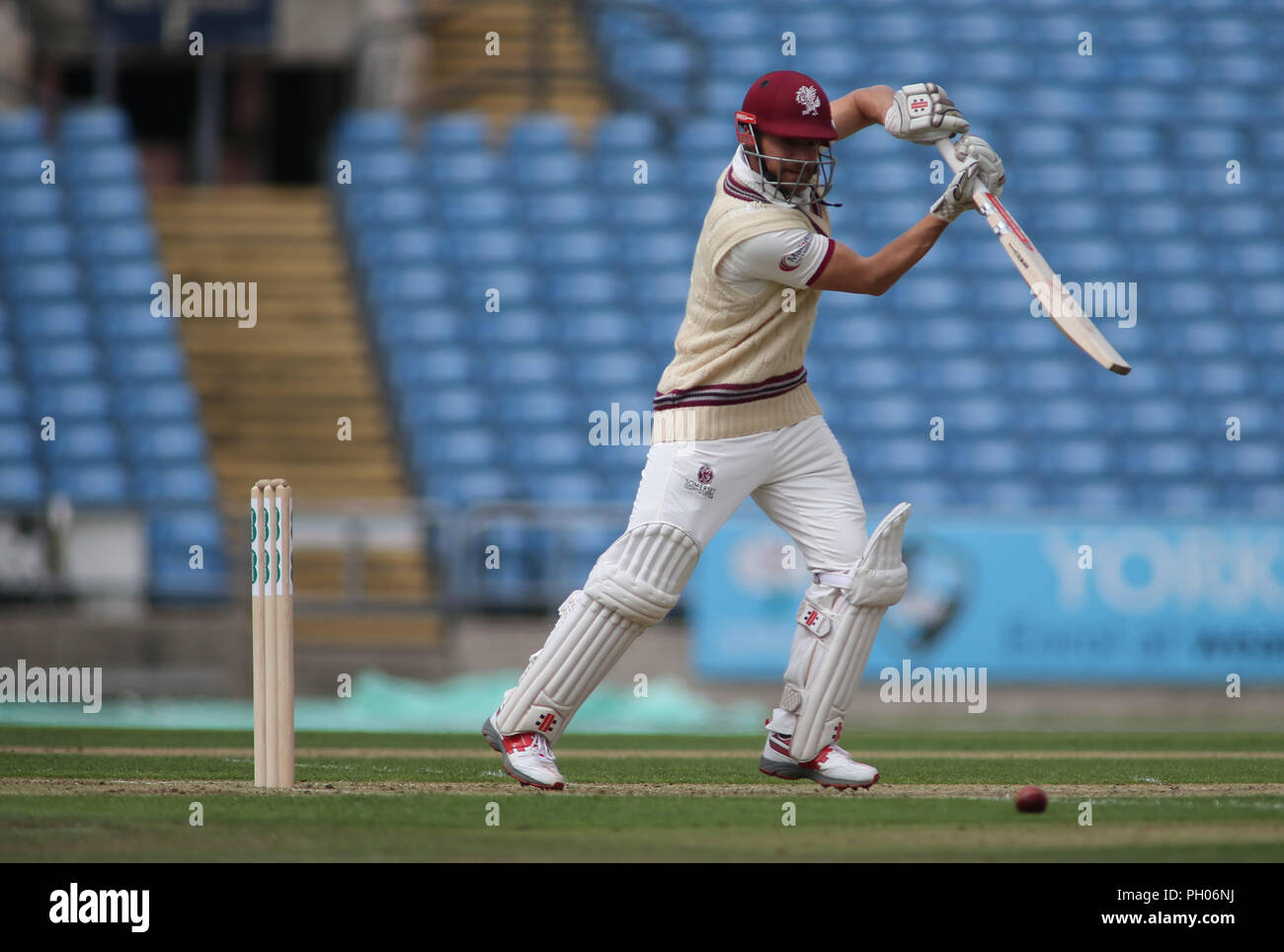James hildreth of somerset county cricket club hi-res stock photography ...