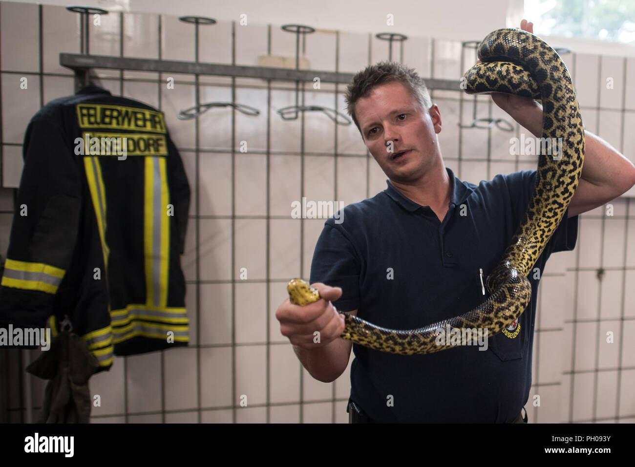 Duesseldorf, Germany. 29th Aug, 2018. 29.08.2018, North Rhine ...