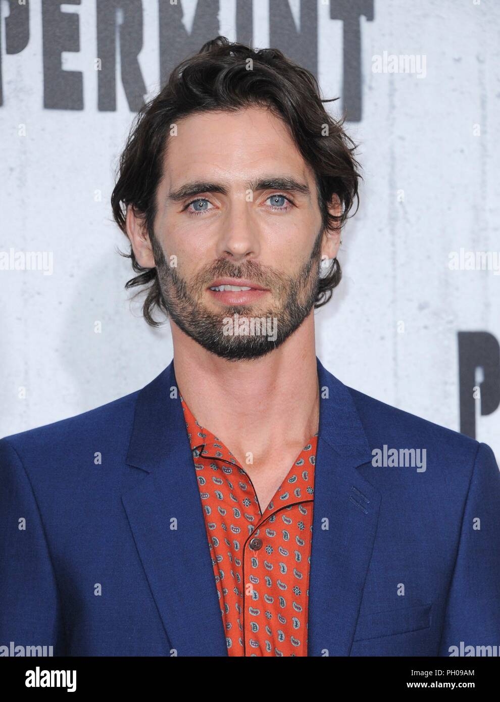 Los Angeles, CA, USA. 28th Aug, 2018. Tyson Ritter at arrivals for ...