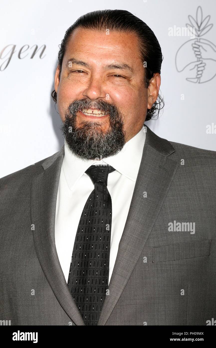 Daniel E Mora at arrivals for 33rd Annual Imagen Awards, JW Marriot Los ...