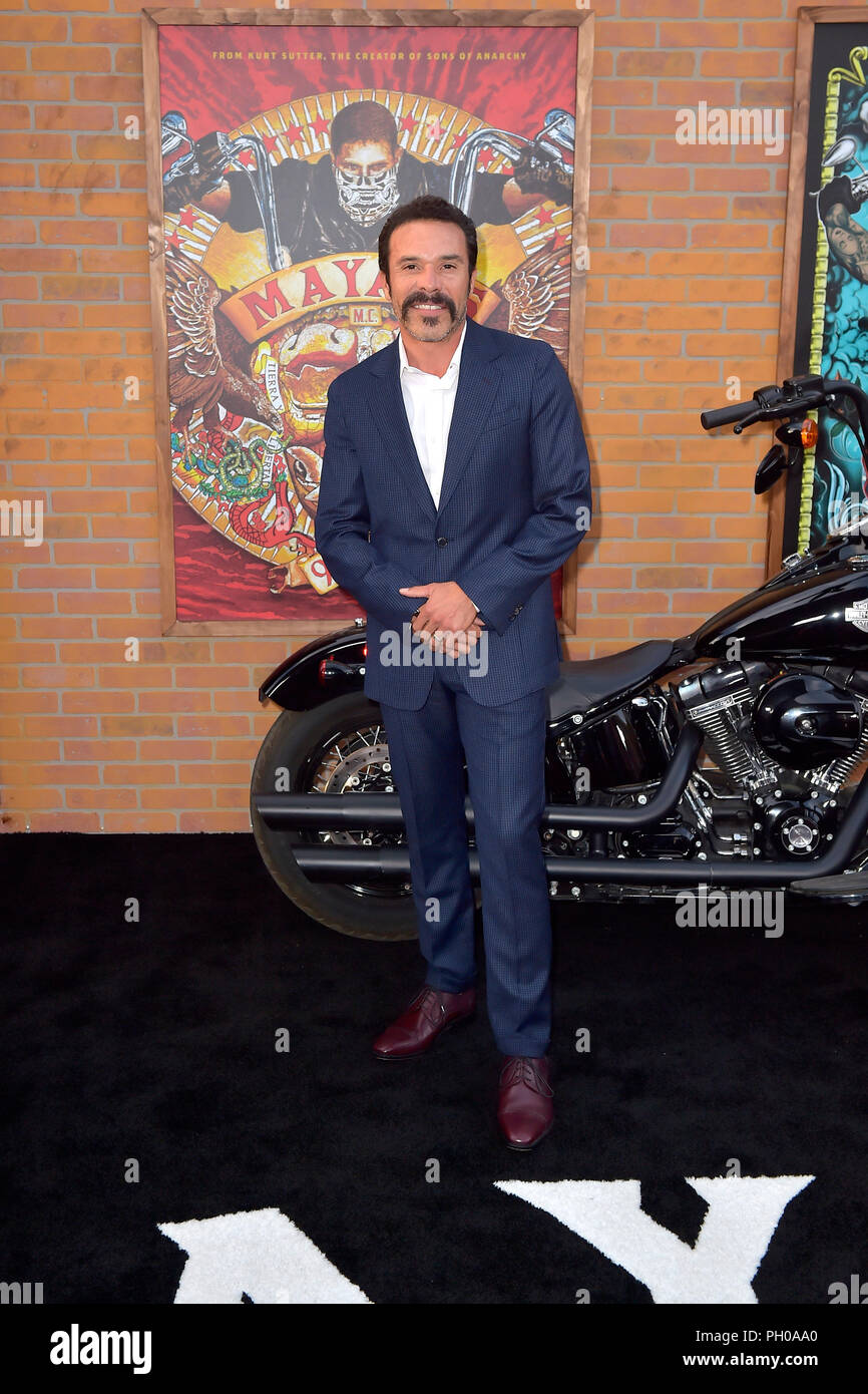 Michael Irby Almost Human