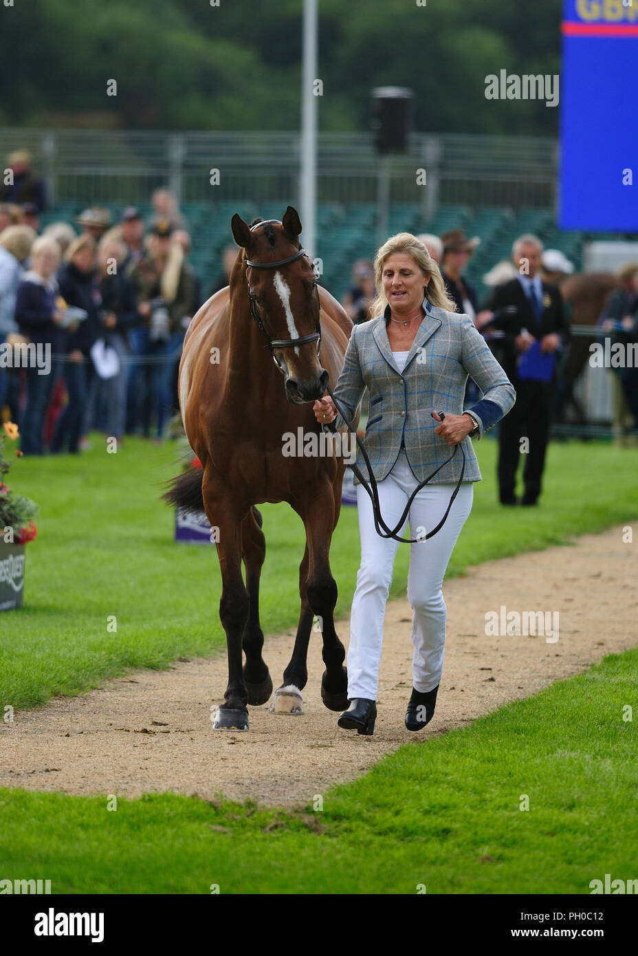 Stamford, UK. 29th August 2018. Kristina Cook (GB) & Star Witness ...