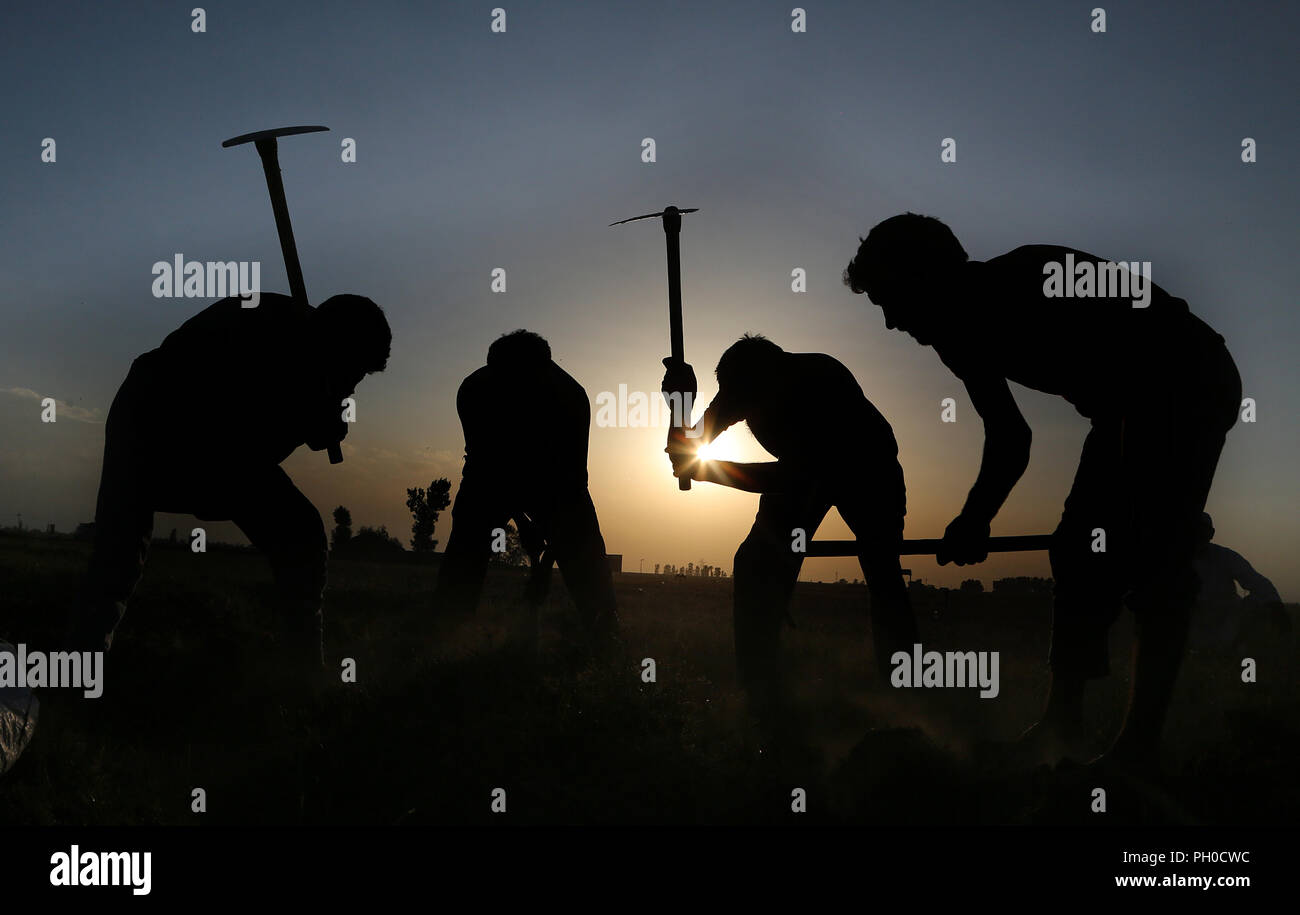 Srinagar, Indian-controlled Kashmir. 29th Aug, 2018. Kashmiri laborers ...
