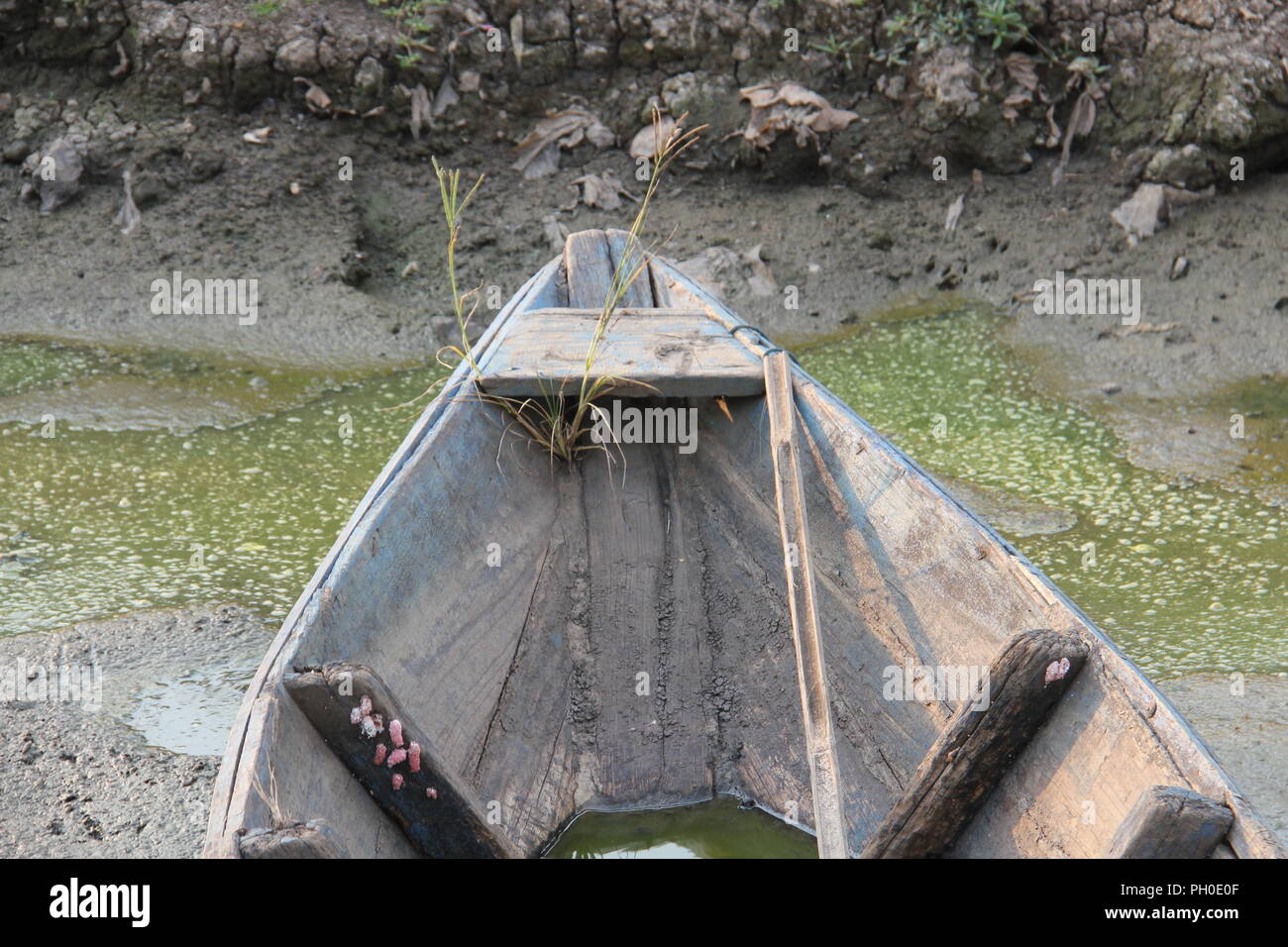 Abandoned boat in the rice field Stock Photo - Alamy