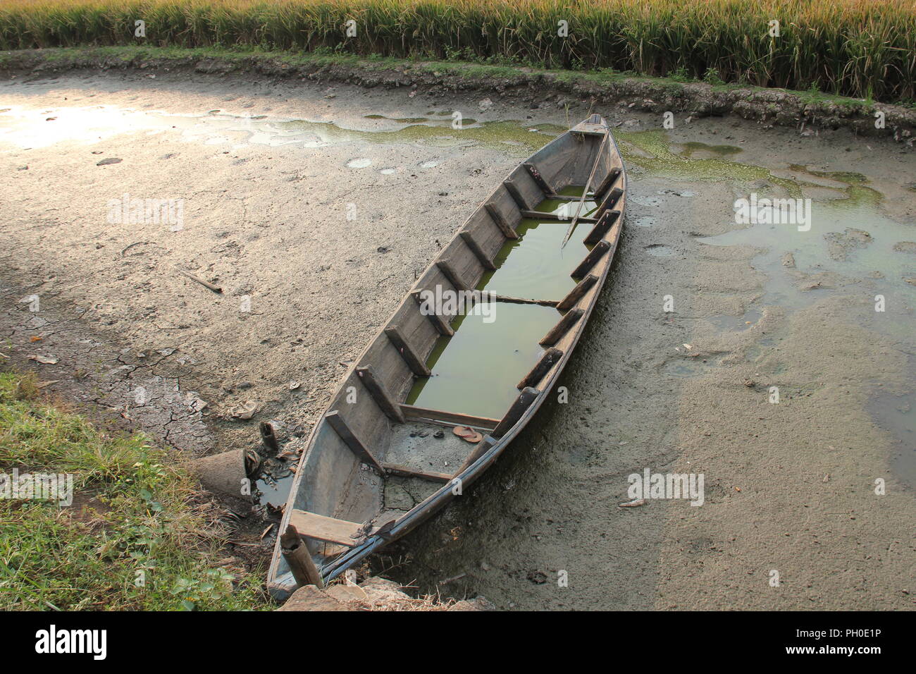 Abandoned boat in the rice field Stock Photo - Alamy