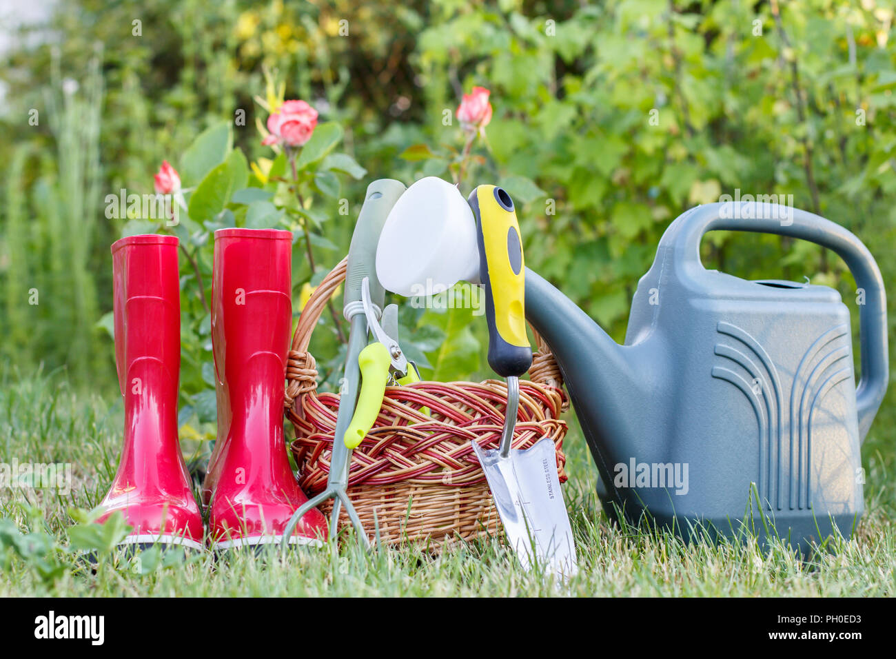 Red garden rubber boots, small rake, pruner, wicker basket, trowel and ...