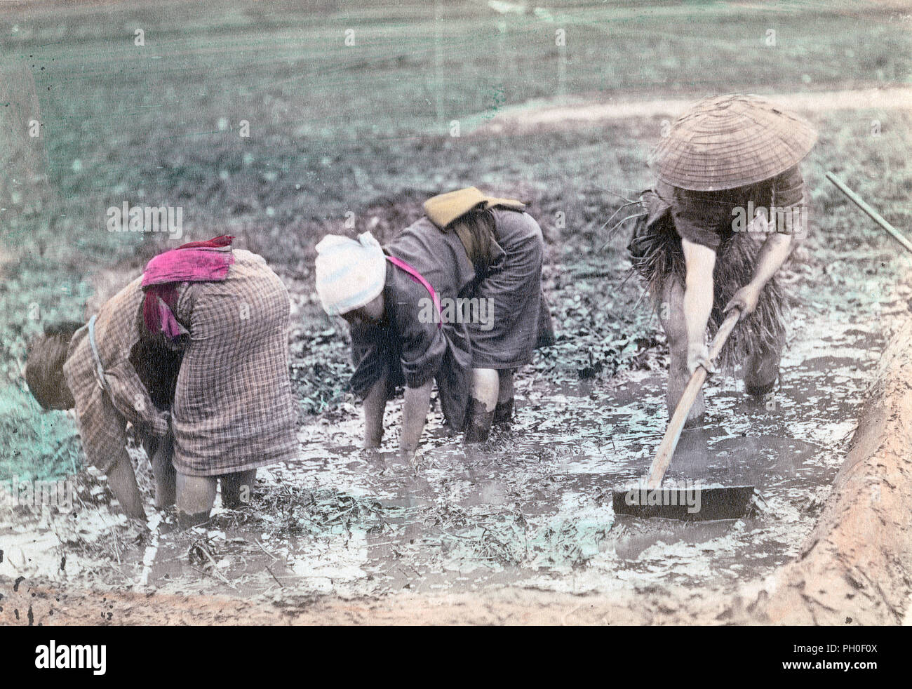 19th century farming hi-res stock photography and images - Alamy