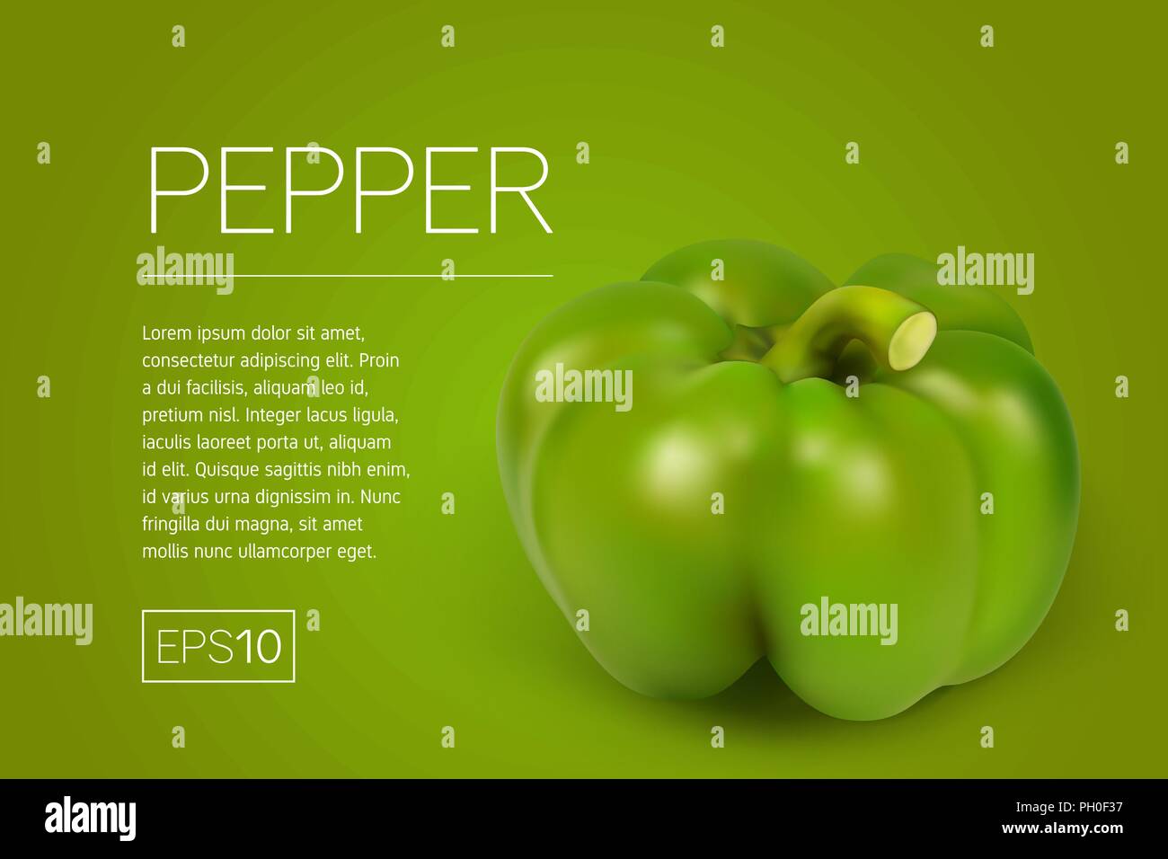 Green pepper isolated on transparent background Stock Vector Image ...