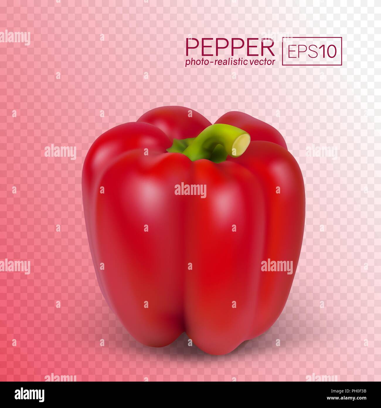 Red pepper isolated on transparent background Stock Vector Image & Art ...