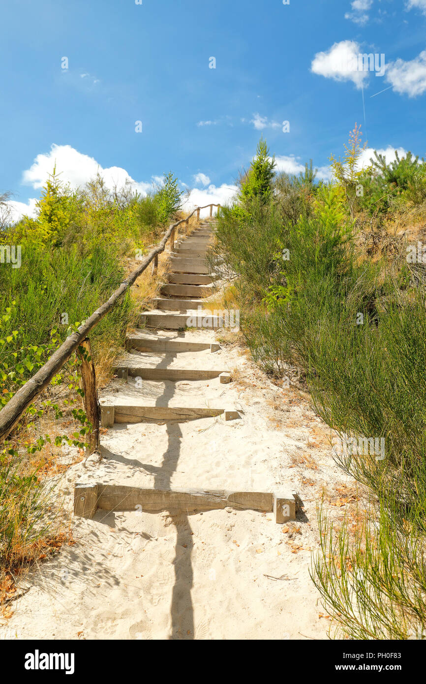 Path up hill hi-res stock photography and images - Alamy