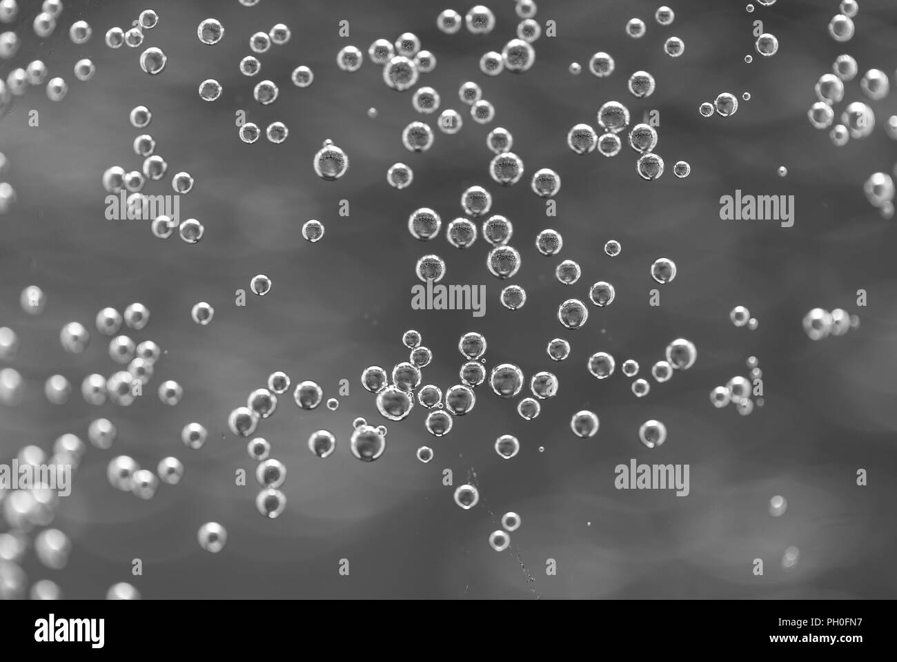 Abstract water bubbles background. Gray color Stock Photo - Alamy