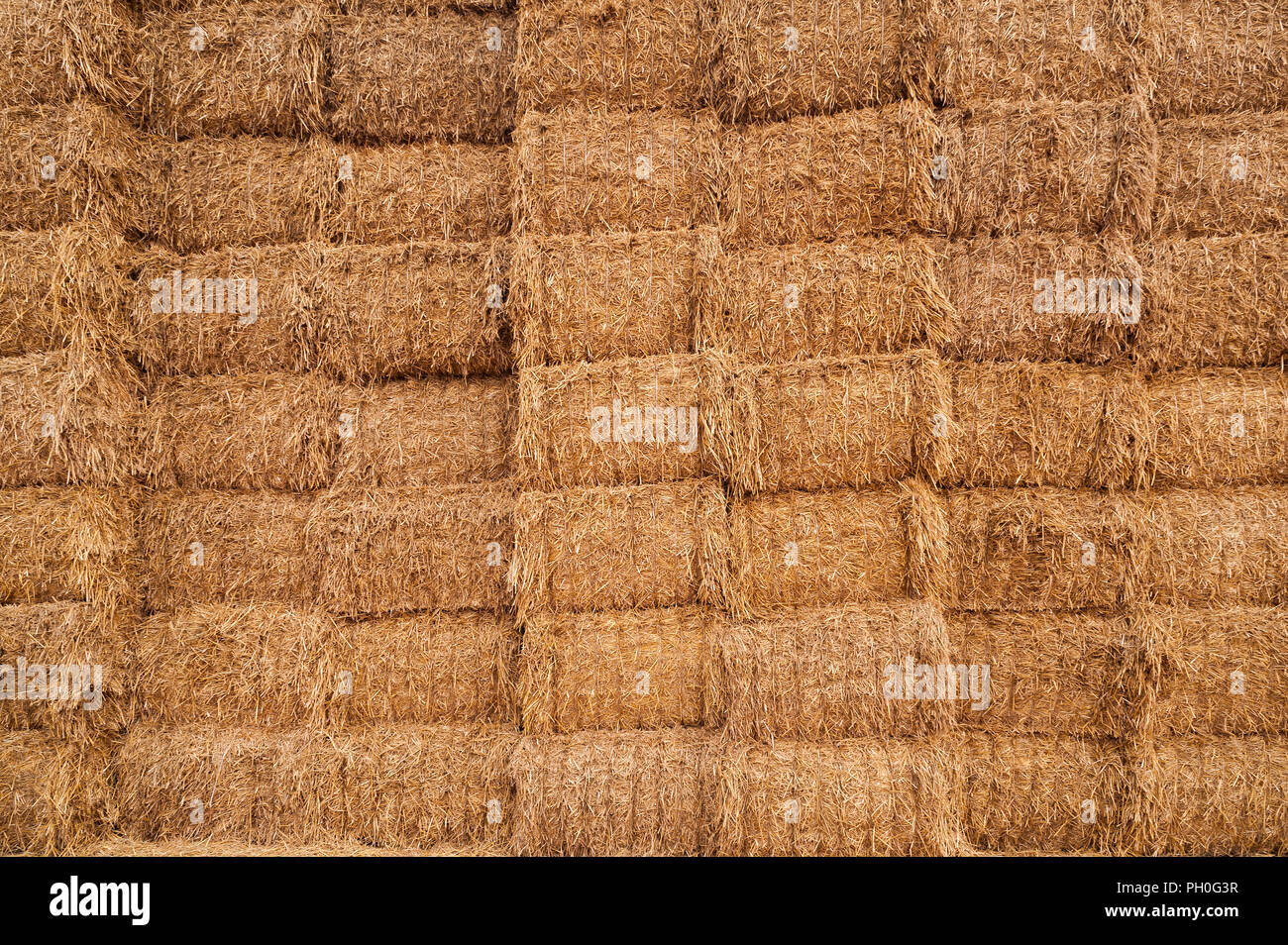 Wall of rectangular straw bales stacked 8 high, formidable background ...