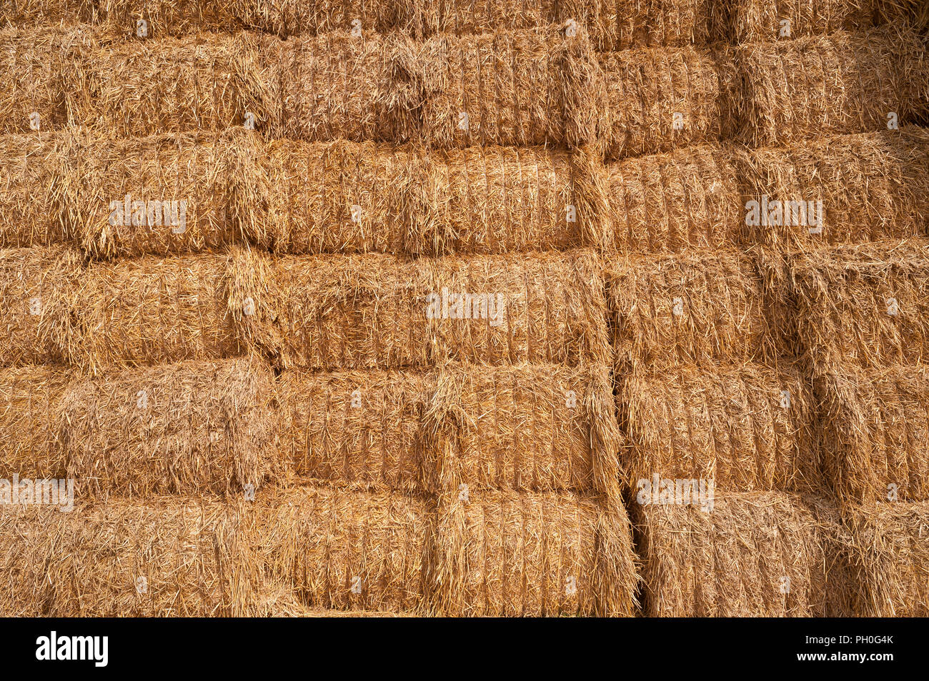 Wall of rectangular straw bales stacked 8 high, formidable background ...