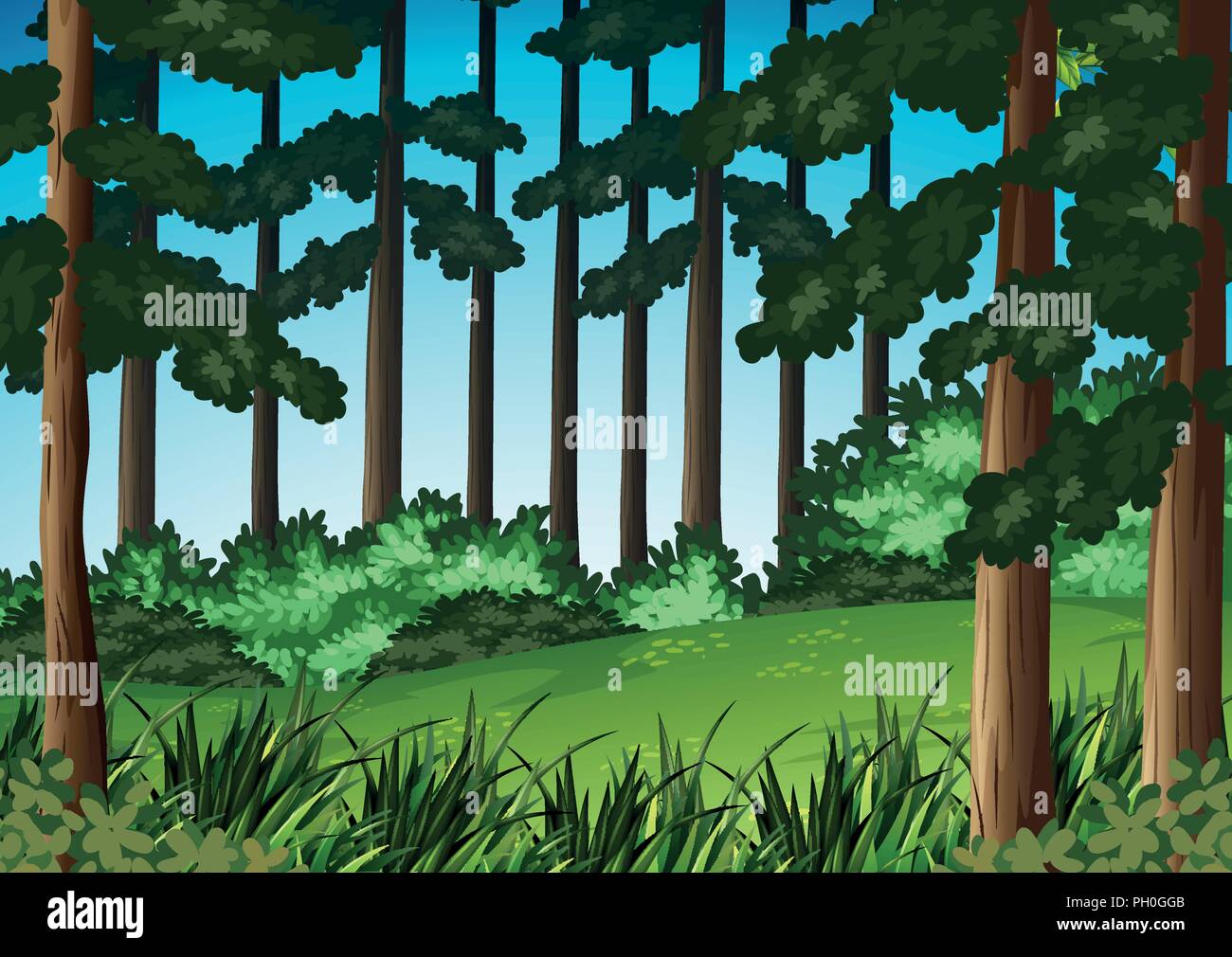 Wood scene landscape background illustration Stock Vector Image & Art ...