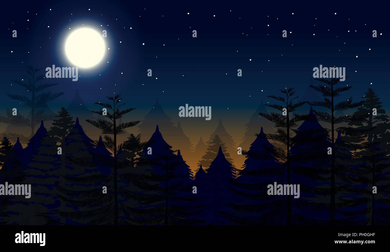 Night forest scene background illustration Stock Vector Image & Art - Alamy
