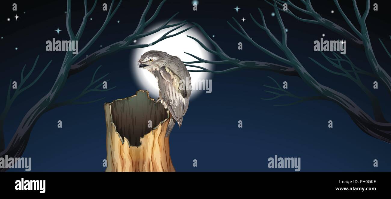 An owl hunting at night illustration Stock Vector Image & Art - Alamy