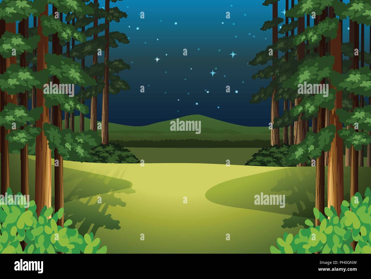 A forest landscape at night illustration Stock Vector Image & Art - Alamy