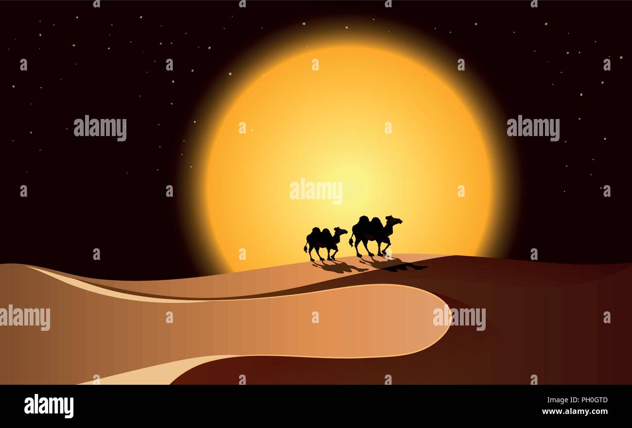 Desert scene at night illustration Stock Vector Image & Art - Alamy