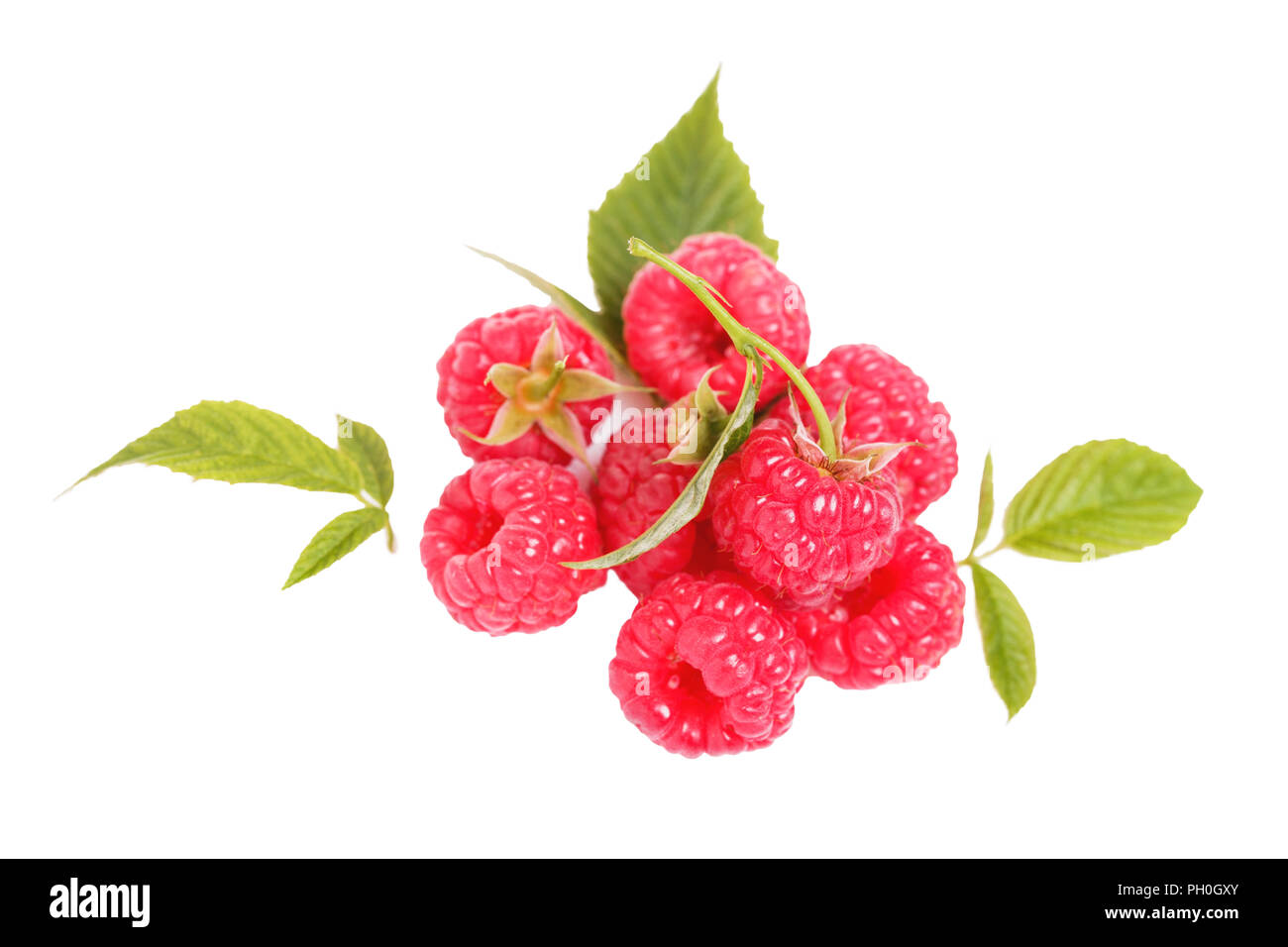 Raspberry with leaves isolated on white background Stock Photo - Alamy