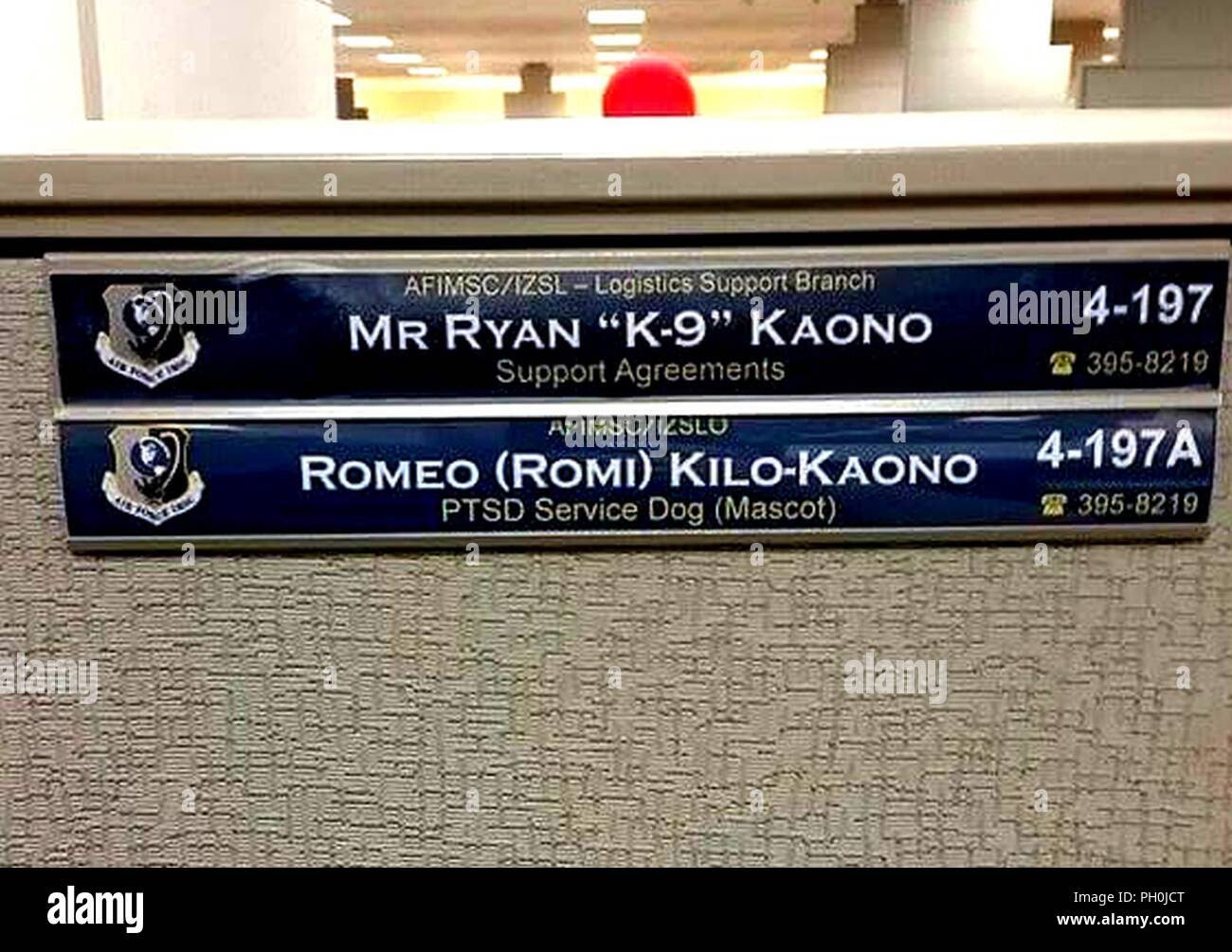 Ptsd service dog military hi-res stock photography and images - Alamy