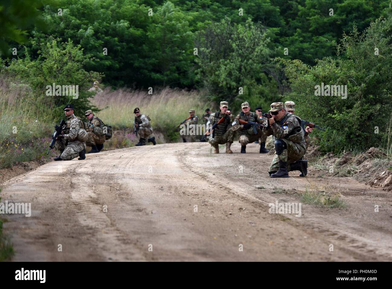 Open wooded areas hi-res stock photography and images - Alamy